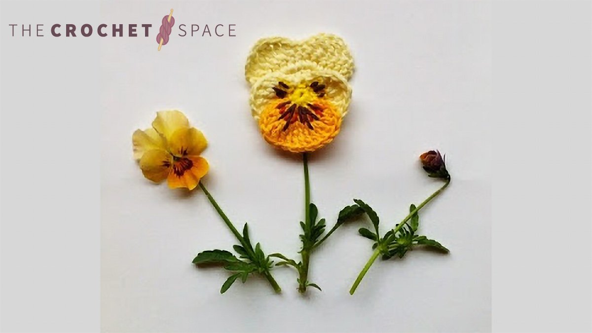 Step by step how to crochet pansy flowers for beginners - Pretty Crochet